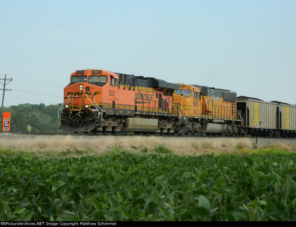 Over The Soybean Fields